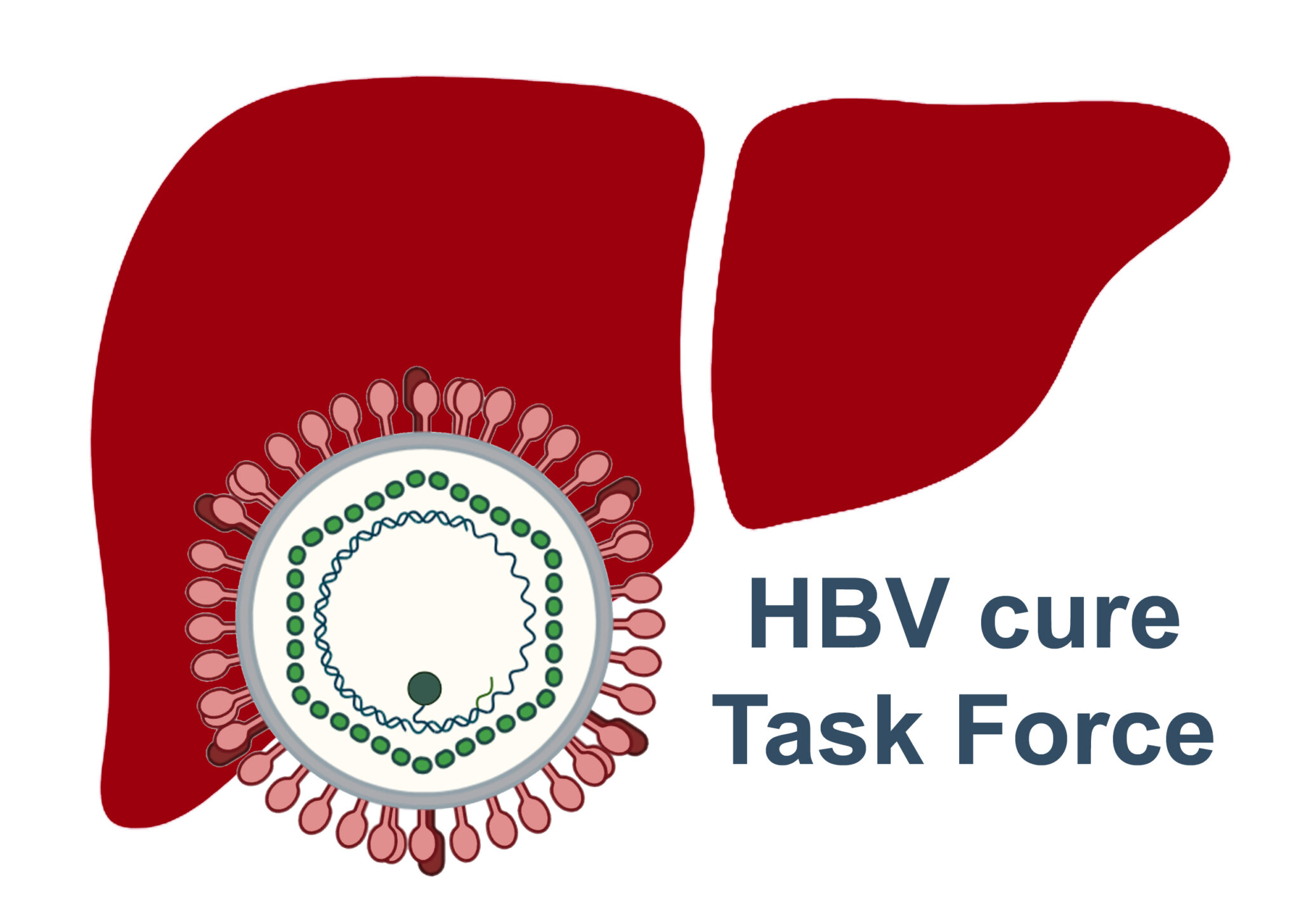 Accueil - IHL - Institut d’Hépatologie de Lyon